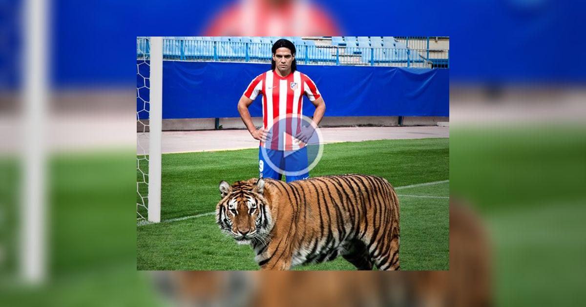 [VIDEO] Insólito: Radamel Falcao posa con un tigre en el Vicente Calderón