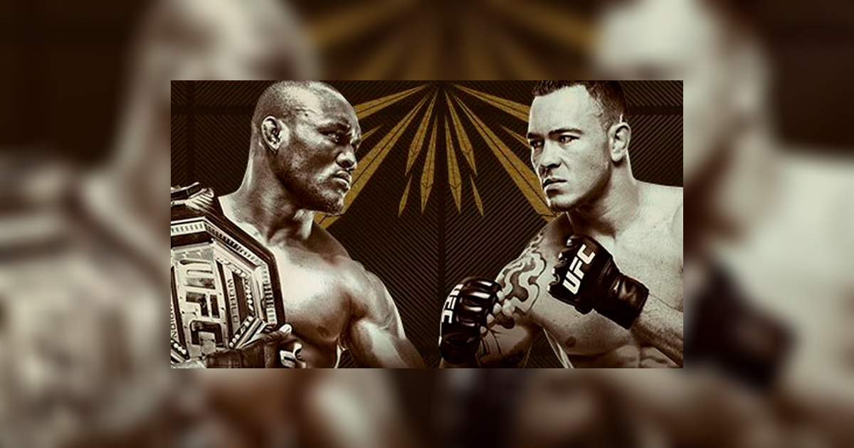 UFC 245: conoce hora, canales y la cartelera del último evento numerado ...