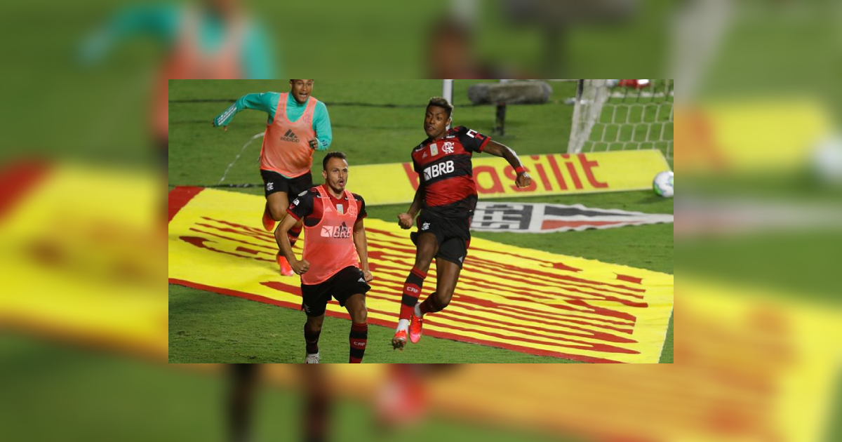 Flamengo, campeón del Brasileirao 2020: así quedó la tabla de ...
