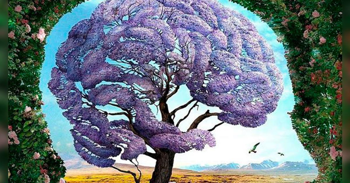 Test visual: Esta imagen revelará tus ideas más reservadas - ¿Qué ...