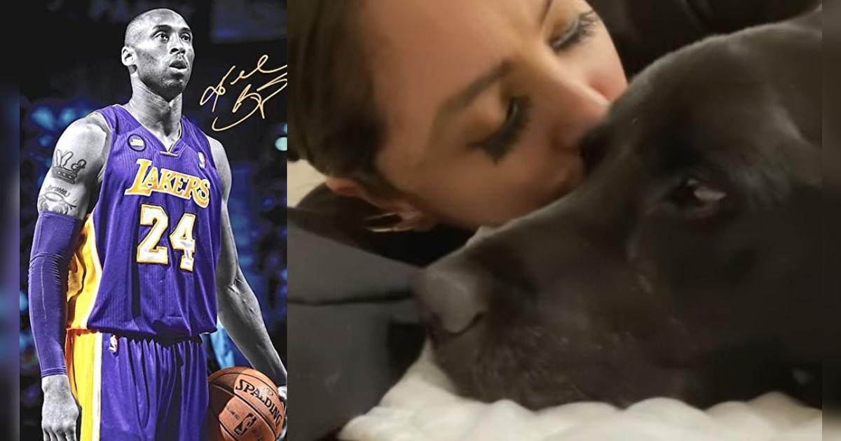 Perro de Kobe Bryant lame las lágrimas de su viuda Vanessa y conmueve ...