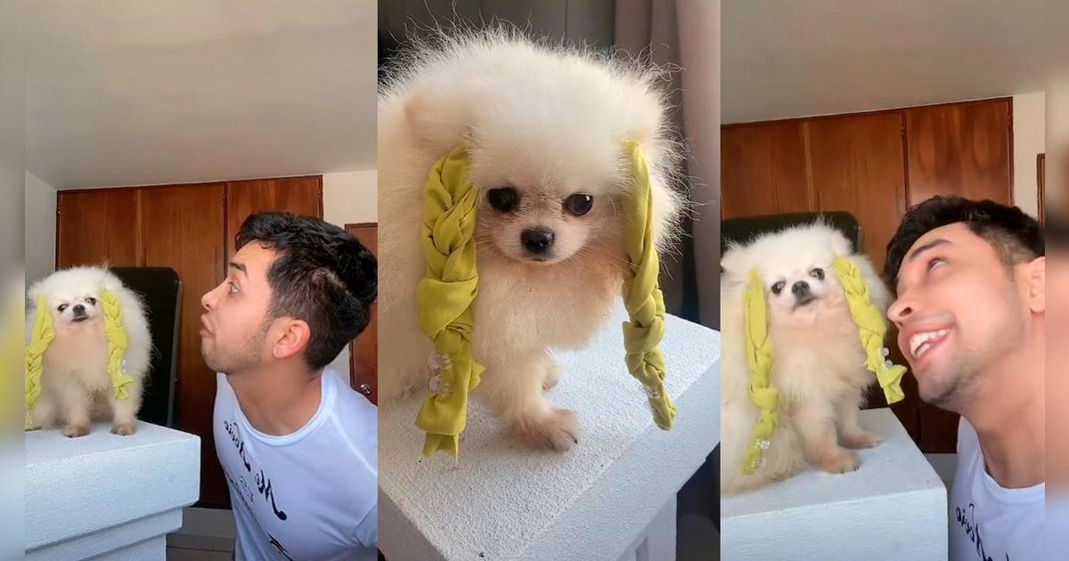 Joven recrea famosa escena de 'Tronchatoro' junto a su perrito y se ...