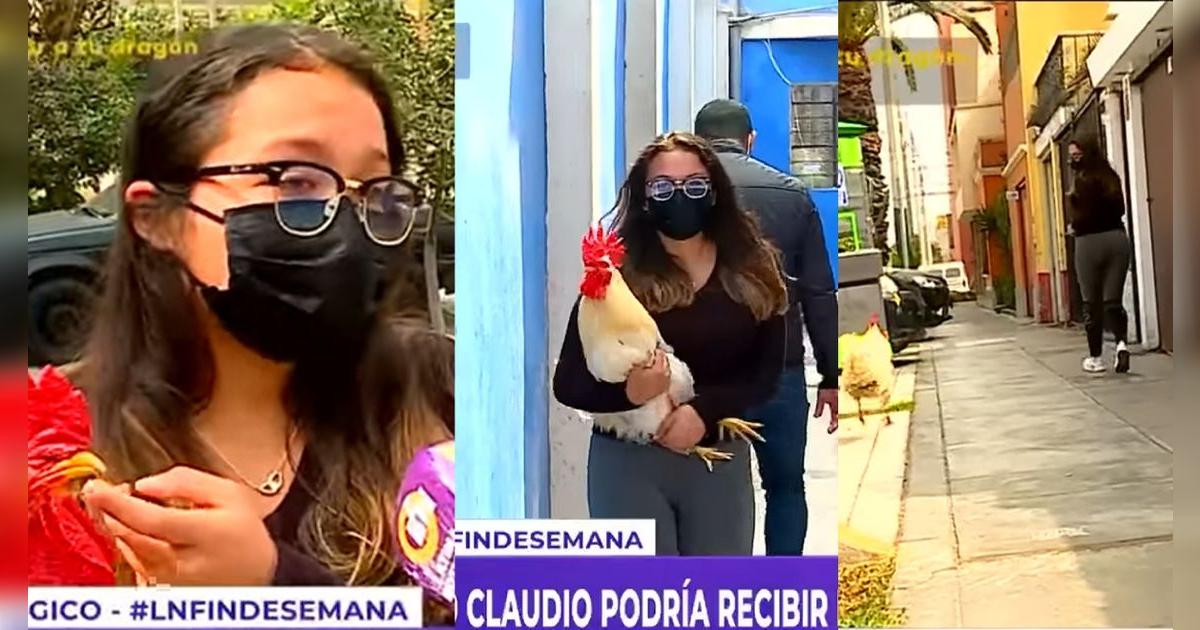 Cánticos de 'Gallo Claudio' podría costar cuantiosa multa a su dueña