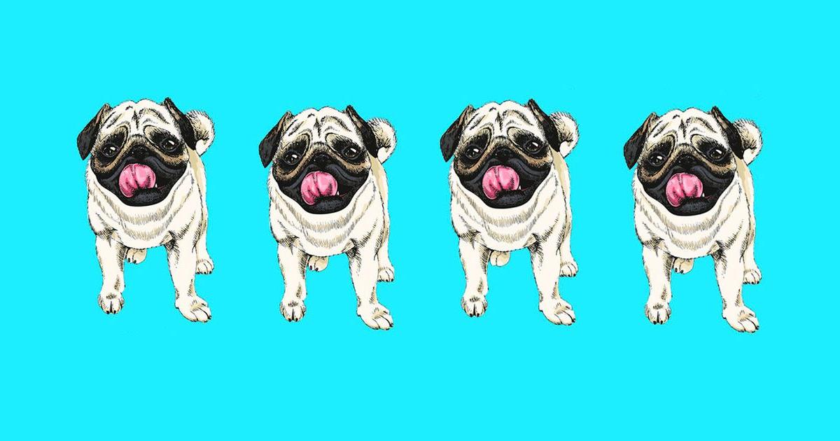 ¿Viste al perrito distinto? Solamente los EXPERTOS lo hallan en menos ...