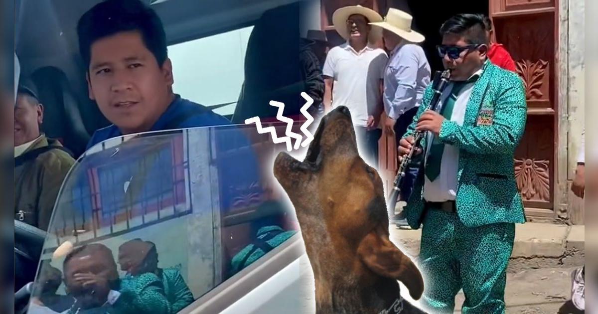 TikTok: chofer creyó haber atropellado a un perrito, pero en realidad ...