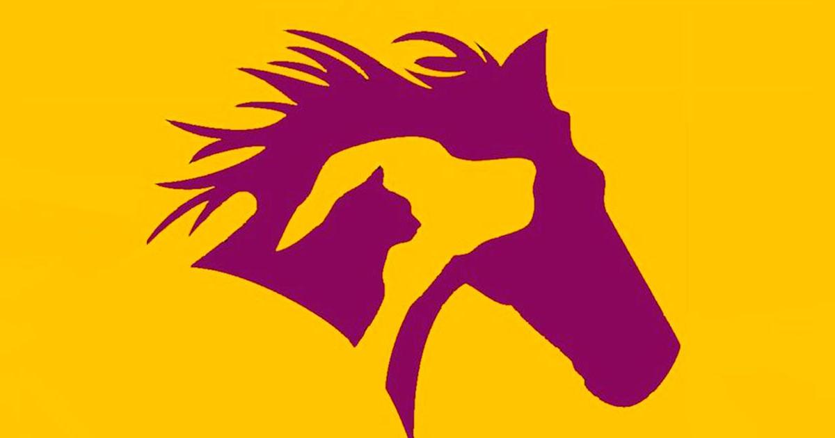 Elige un animal en este test de personalidad y descubre en 3 segundos ...