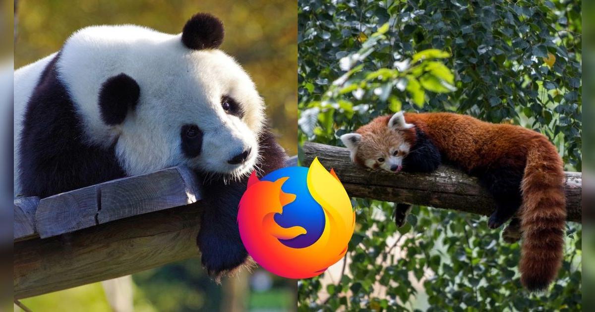 ¿Un zorro o un panda?: Te contamos qué animal está en el logo de Firefox