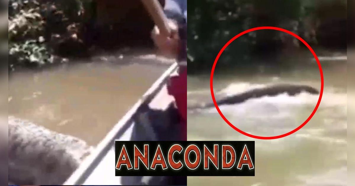 Jóvenes navegaron por el río Amazonas y se encontraron con una anaconda - VIDEO