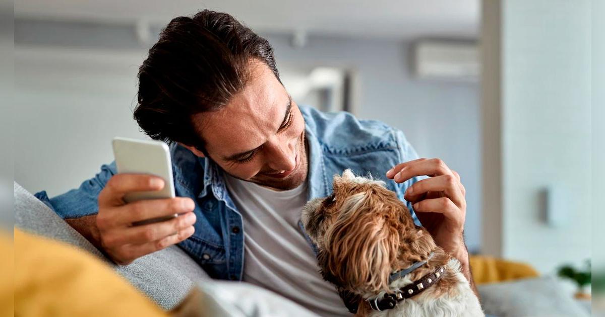 Smartphones: 5 aplicaciones para cuidar a tu mascota desde tu celular