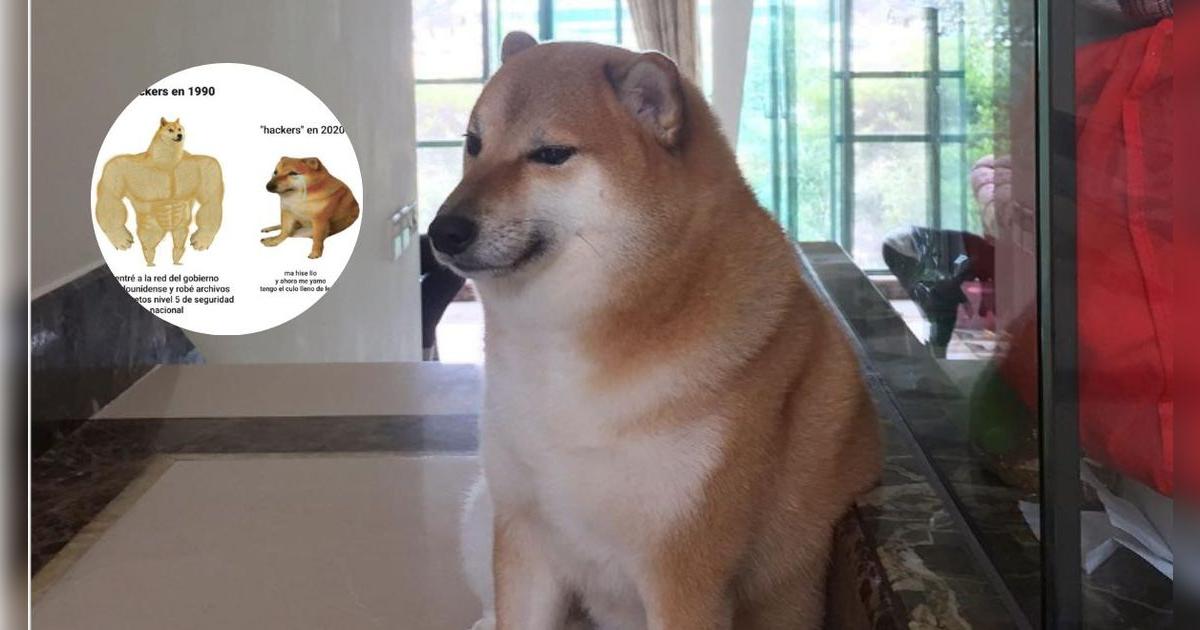 Cheems: ¿Cómo nació su meme y cuáles son los más famosos?