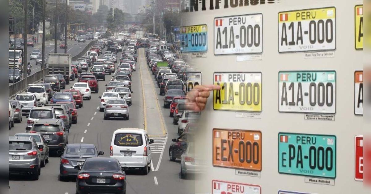 Conoce por qué el color de la placa varía según el tipo de vehículo