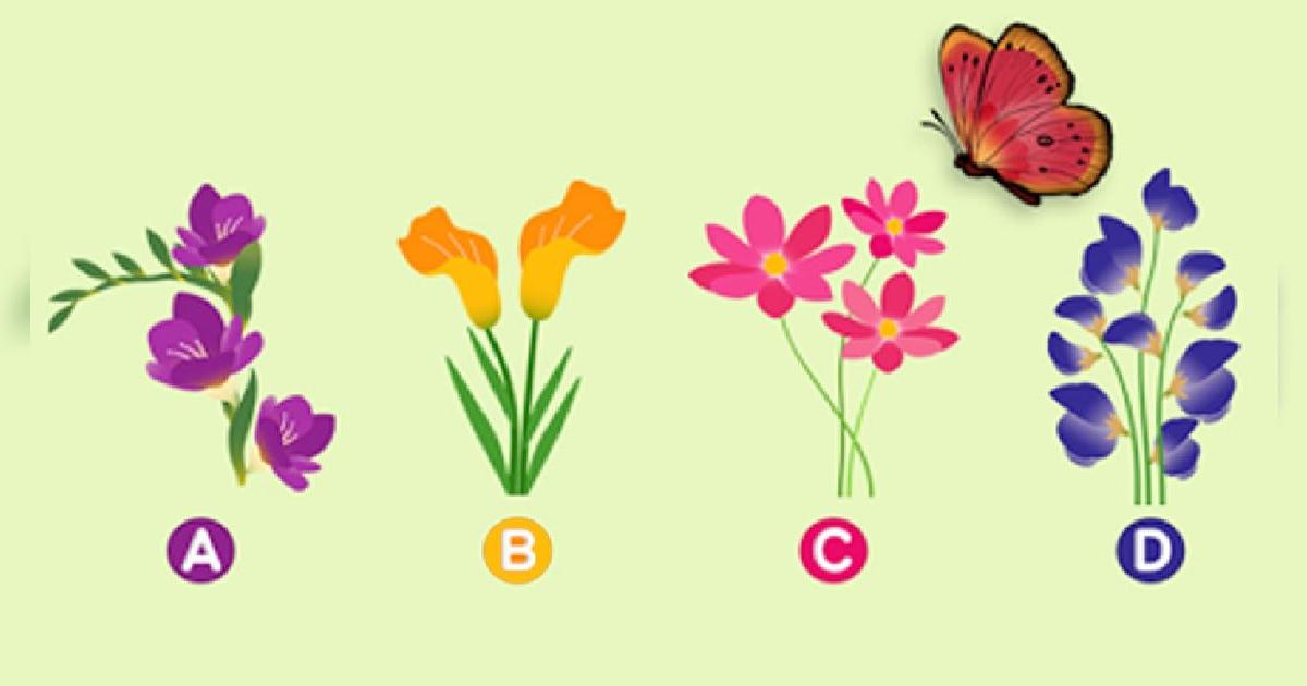 ¿Eres realmente feliz? Escoge una de las 4 flores y descúbrelo en poco ...