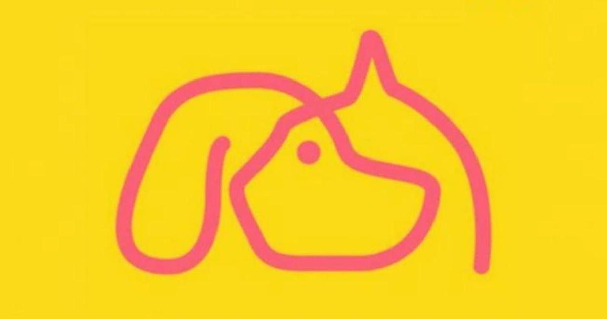 ¿Eres una persona amable? El primer animal que veas revelará detalles ...