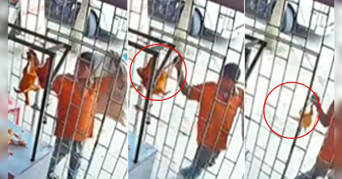 Hombre roba un pollo 'al paso' y cámara lo graba: "Te vamos a encontrar"