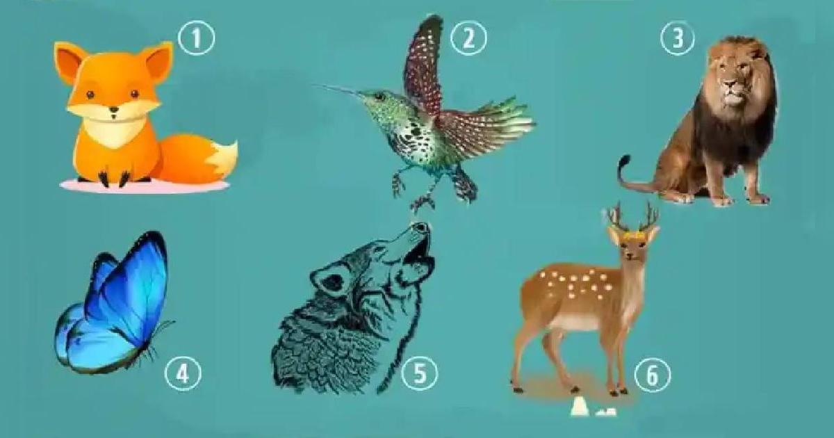 ¿Qué animal te representa? La elección podría revelarte cuál es tu peor ...