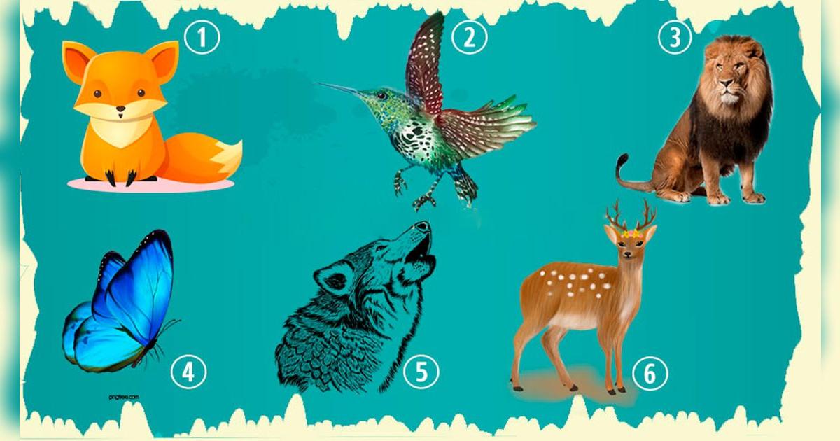 ¿Con qué animal te identificas? Escoge el que más te guste y descubre ...