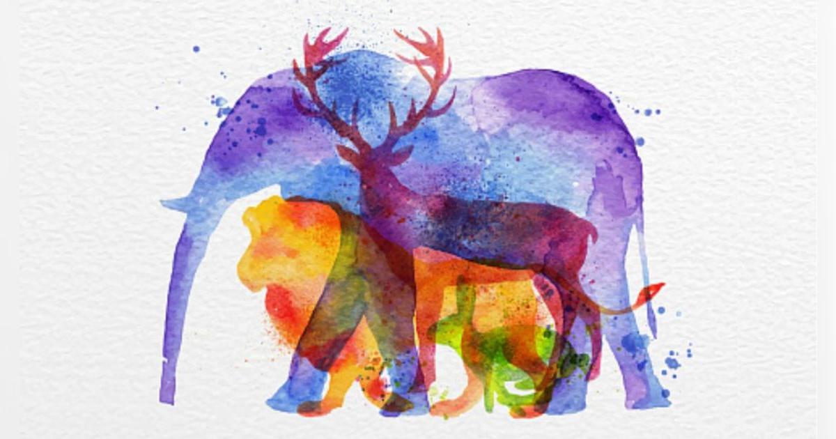 ¿Qué animal te gusta más? Este test revelará si eres una persona ...