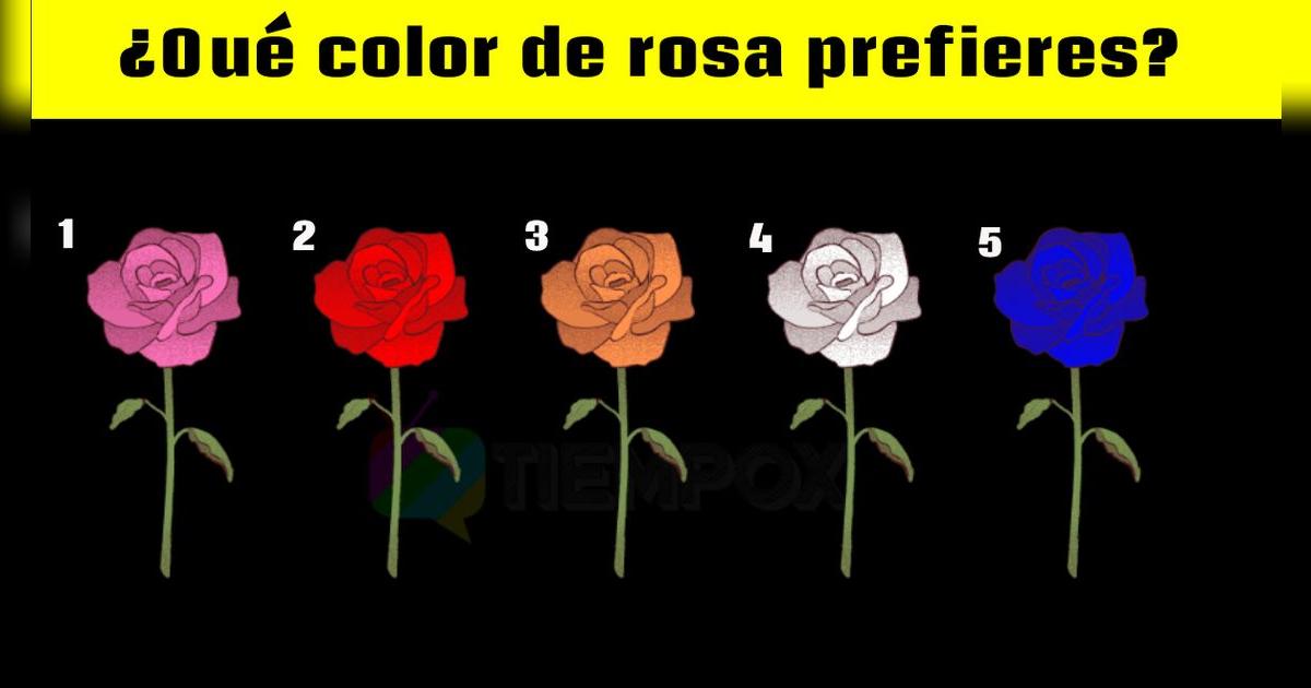 ¿Qué color de rosa te gusta? Averigua qué es lo más lindo de ti y cuál ...