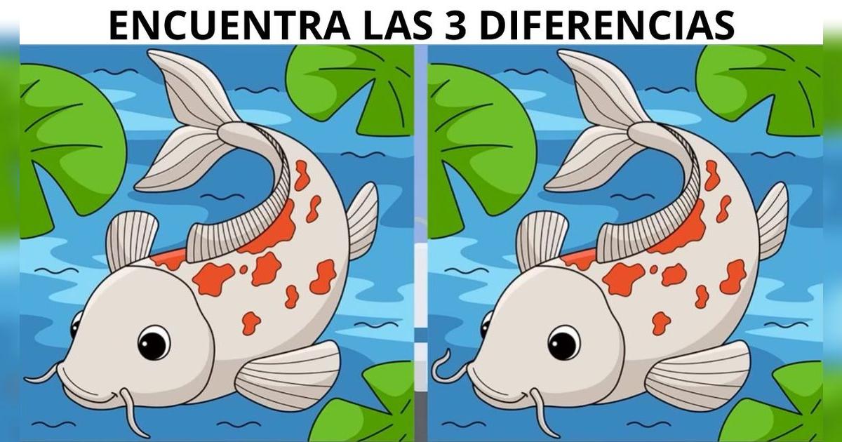 Intenta superar este nuevo reto visual en 7 segundos: ¿Dónde están las ...