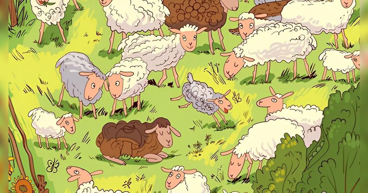 ¿Cuál es el INTRUSO? Descúbrelo y soluciona este reto visual nivel EXPERTO