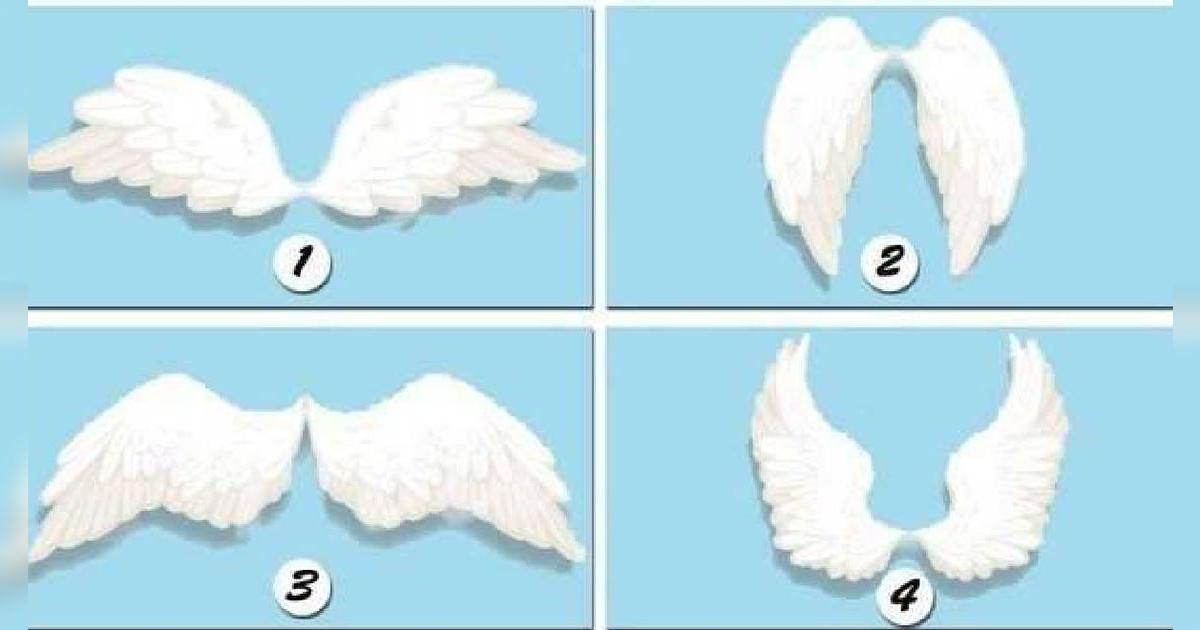 Identifica tus alas favoritas y descubre qué experiencia te mantiene ...
