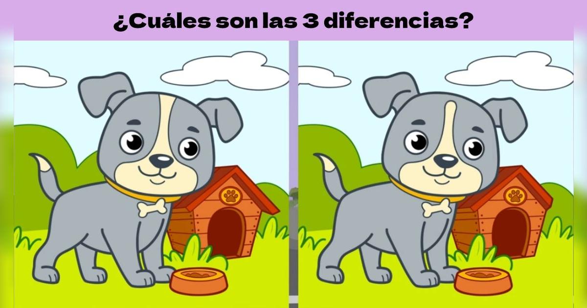 Solo para EXPERTOS: encuentra las 3 diferencias en solo 8 segundos