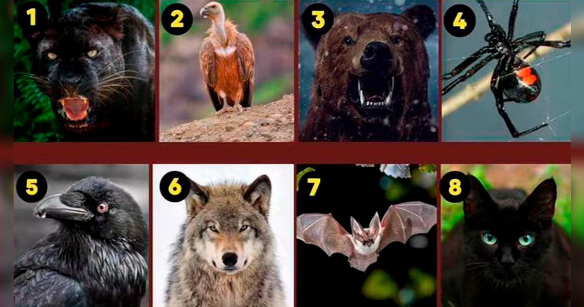 ¿Qué animal te gusta? Escoge uno y descubre el rasgo más oscuro de tu ...