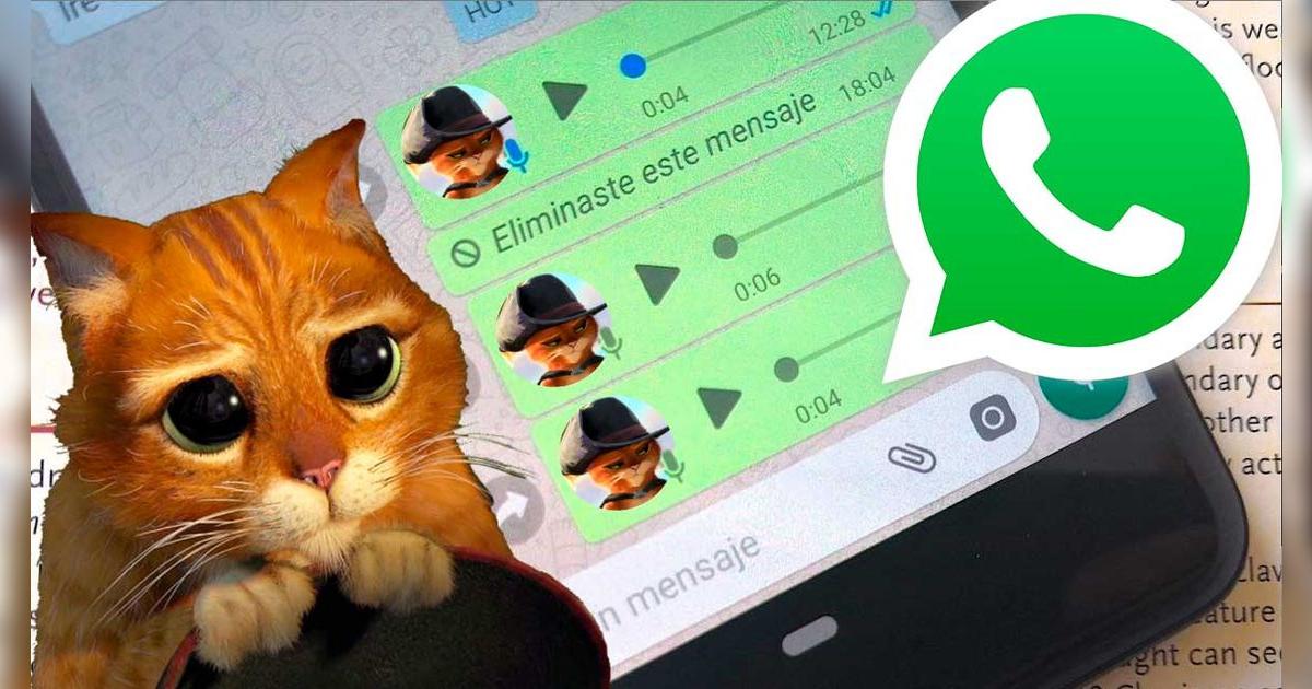 WhatsApp: truco secreto te permite enviar mensajes con la voz del 'Gato ...