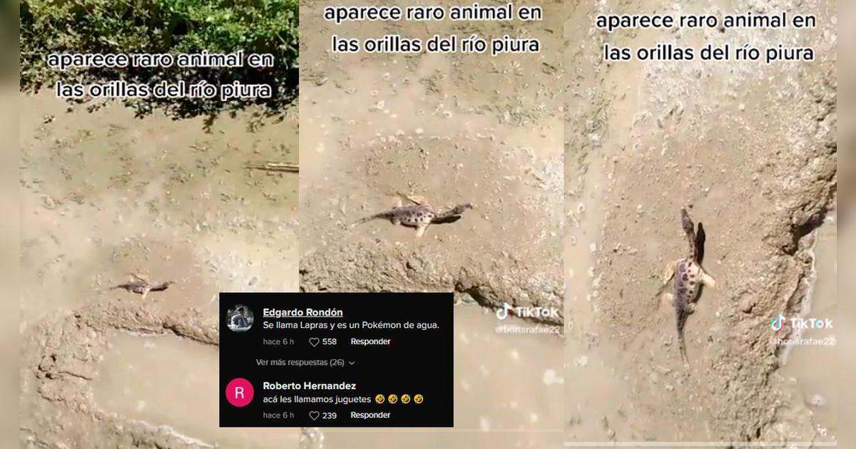 Creyó encontrar un animal extraño en orilla del río y es 'troleado ...