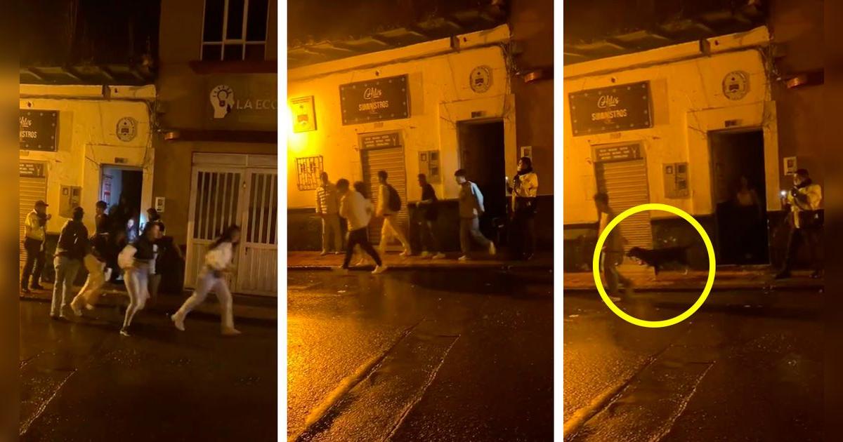 Policía interviene fiesta clandestina y descubren que había un perro ...