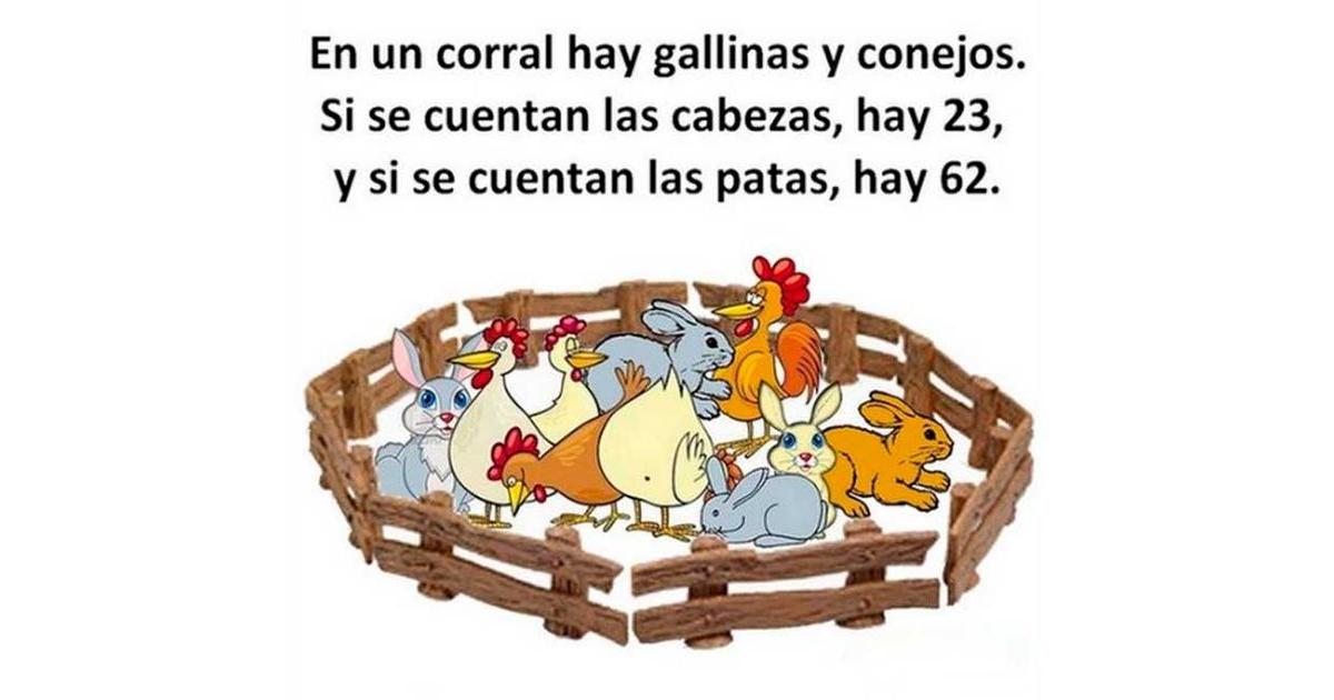 ¿Cuántas gallinas y conejos hay en el corral? El acertijo exclusivo para GENIOS