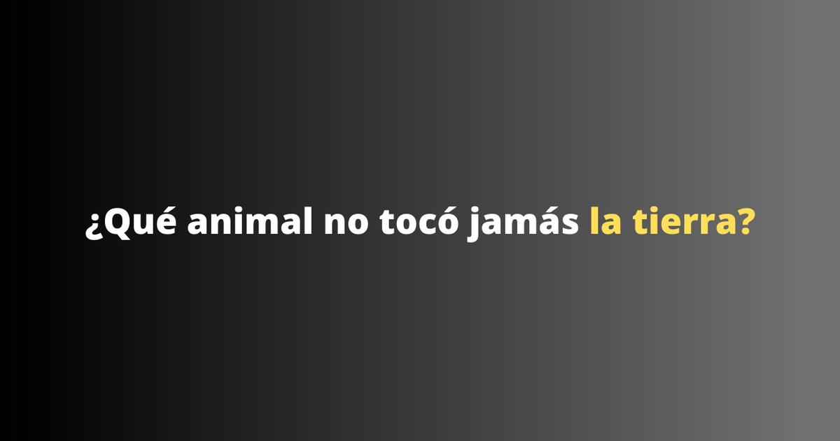 ¿Qué animal no tocó jamás la tierra? Muy pocos han resuelto este ...