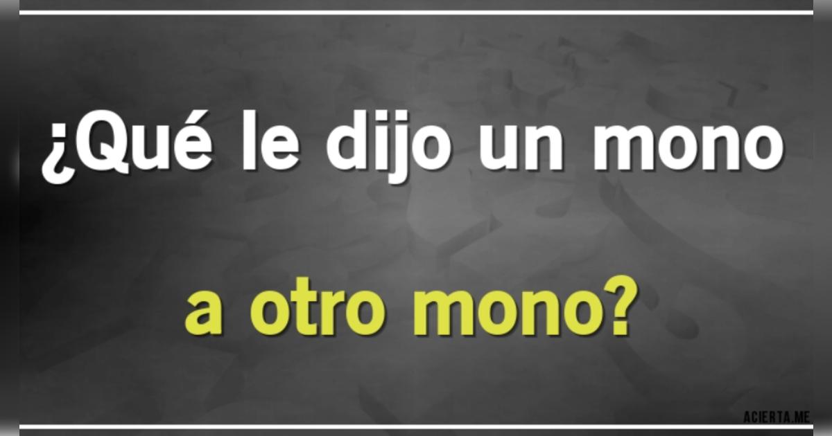 ¿Qué le dijo un mono a otro mono? Solo personas de MENTE ÁGIL hallan la ...
