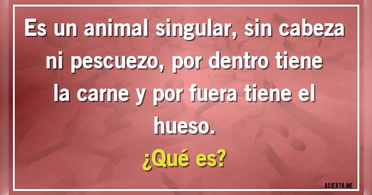 ¿De qué animal estamos hablando? Analiza y responde este acertijo solo ...