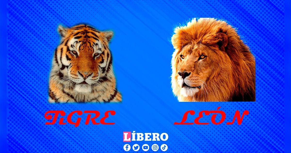 ¿Qué animal te gusta más? Este test revelará si eres una persona solidaria