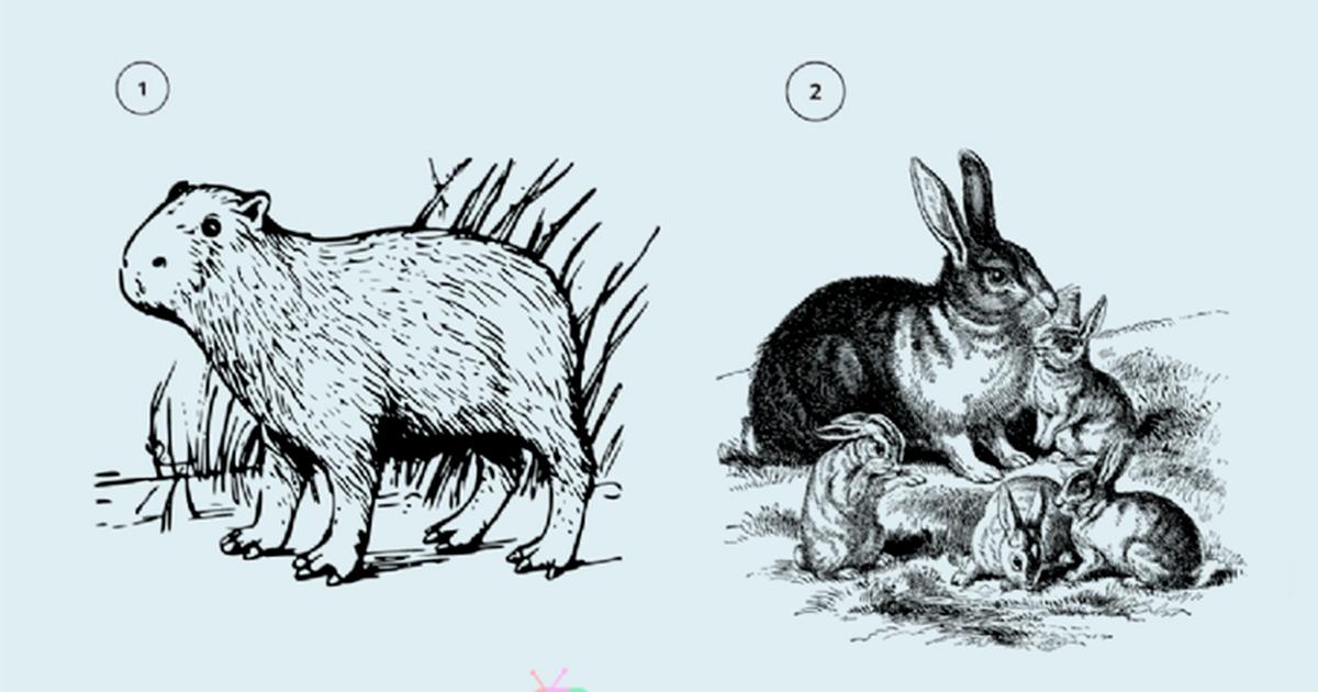 ¿Eres una persona responsable? Confirma tu respuesta escogiendo un ...