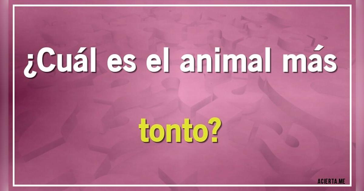 ¿Cuál es el animal más tonto? Supera este acertijo en 7 segundos y ...