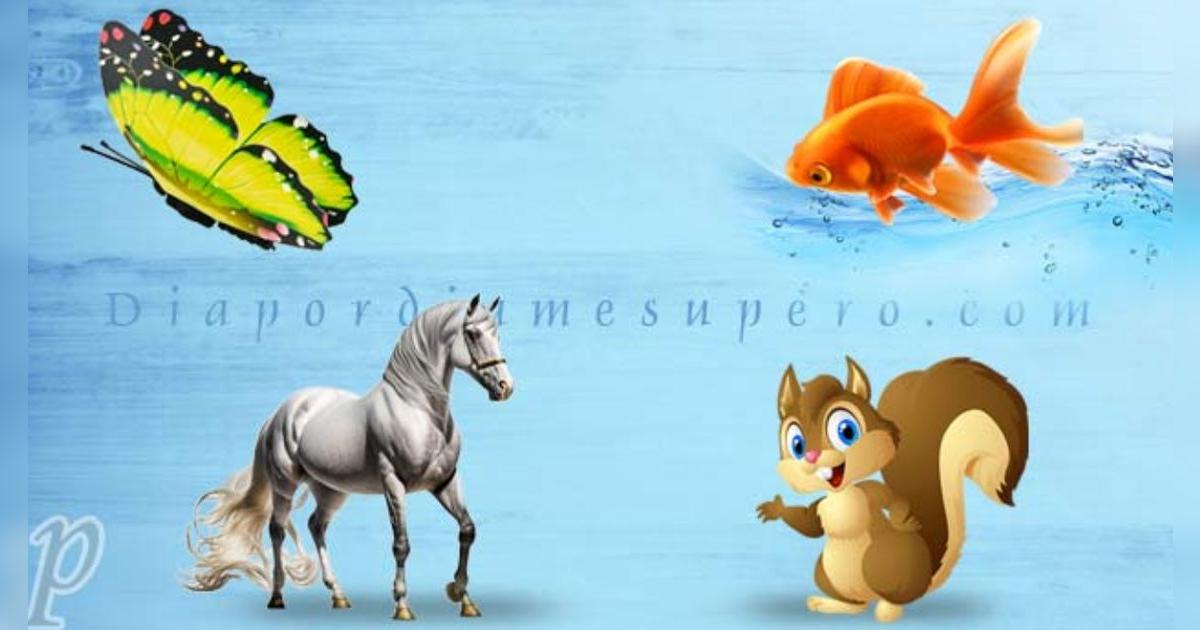 ¿Qué te preocupa? Podrás saberlo con solo elegir un animal 'mágico' en ...