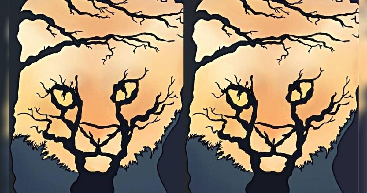 ¿Qué ves primero? El test VISUAL que revelará impresionantes cosas ...