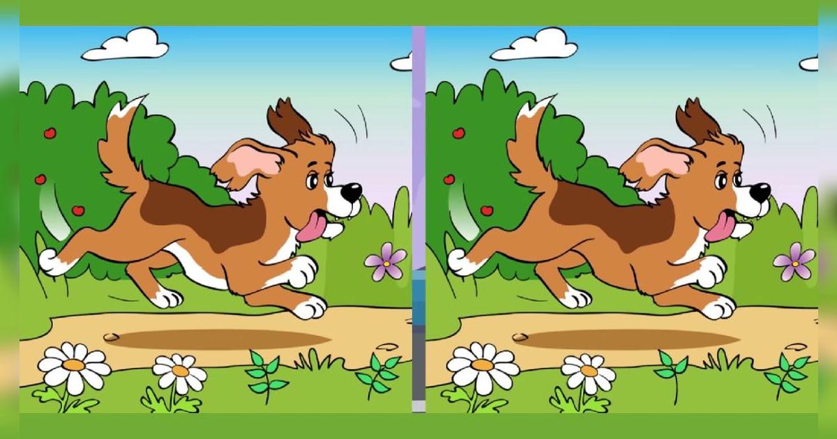 Encuentra La Diferencia