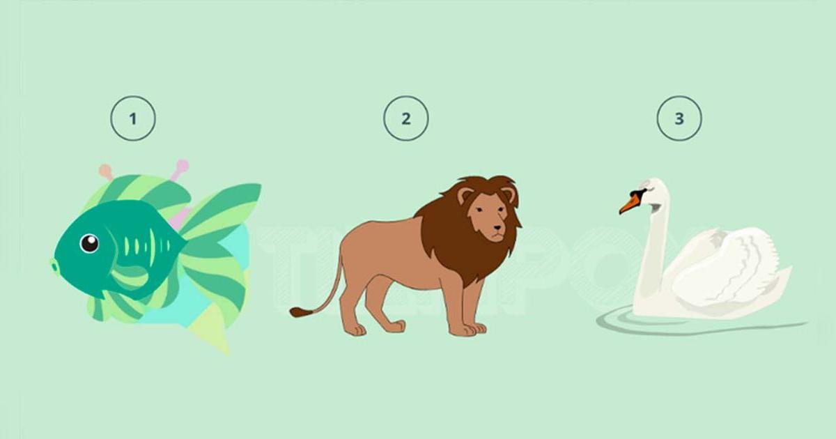 ¿Cuál es tu animal favorito? Este test revelará que necesitas en tu vida