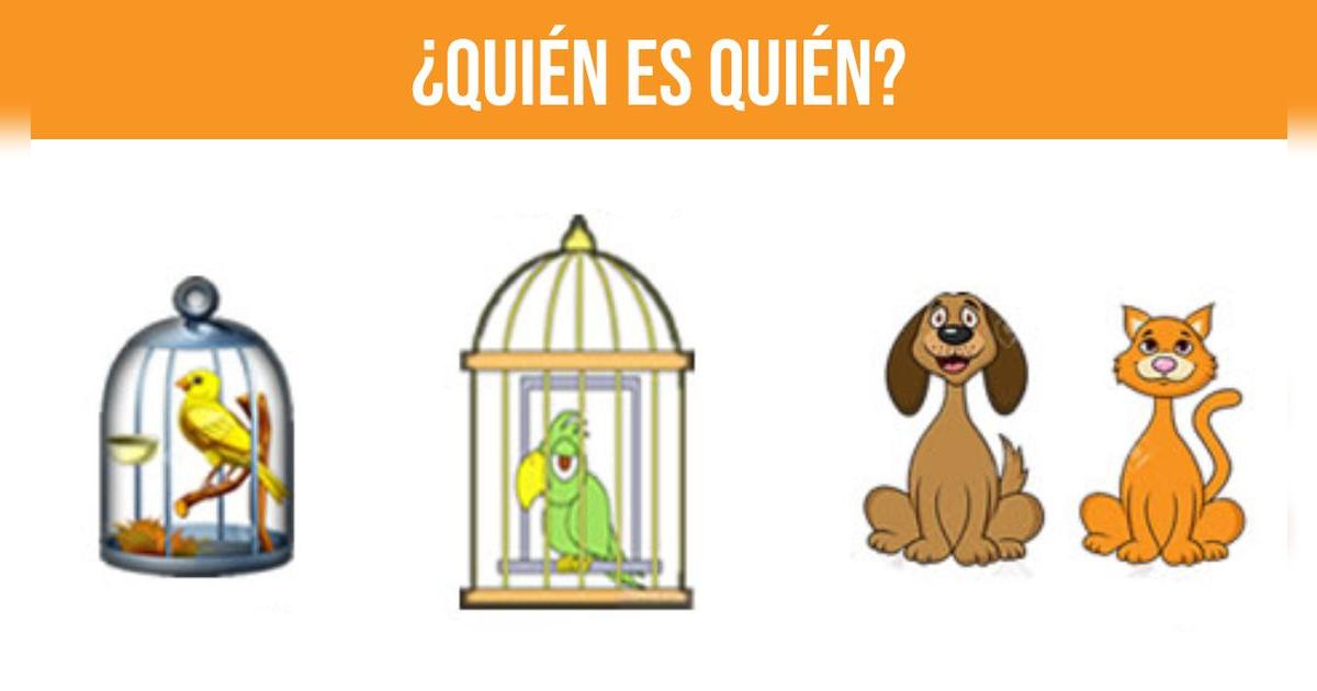 ¿Quién es quién? Descubre el nombre de los animales en menos de 12 segundos