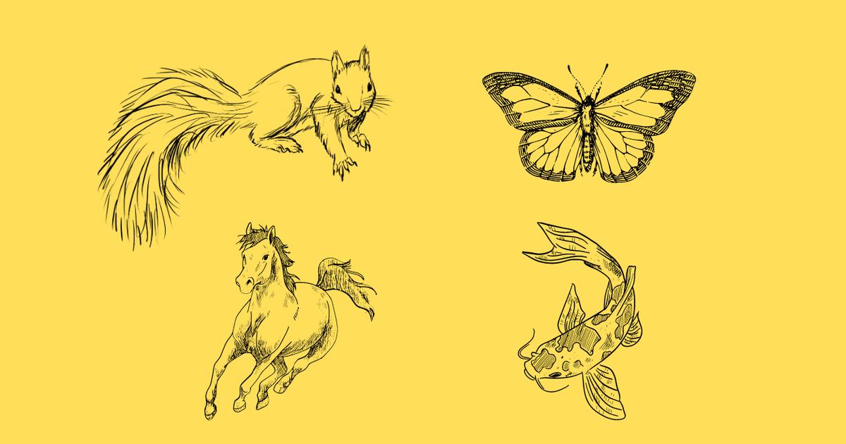 ¿Qué característica te impide alcanzar el éxito? Elige un animal y ...