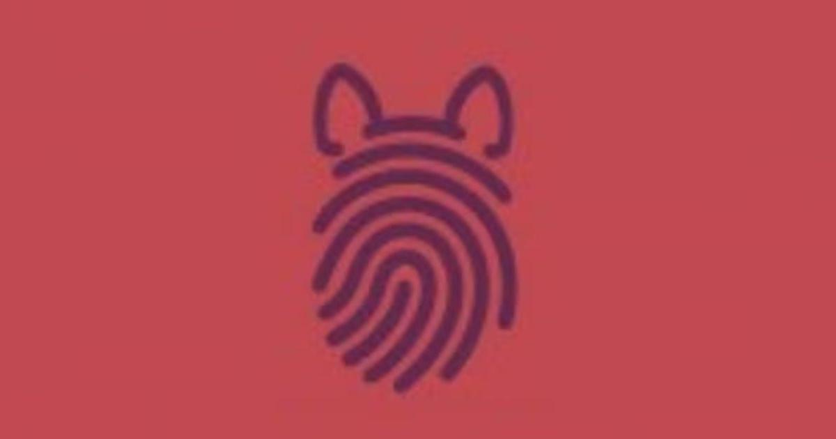 ¿Eres una persona leal? Descúbrelo con lo primero que veas en la imagen