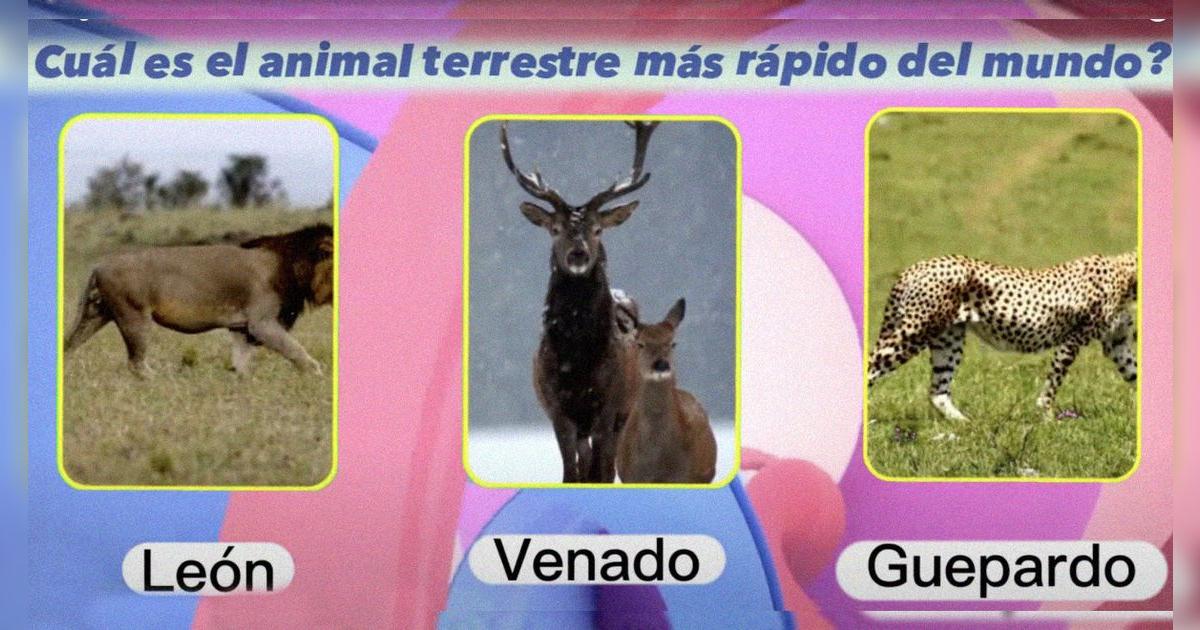 ¿Cuál es el animal más rápido del mundo? Resuelve esta difícil trivia ...