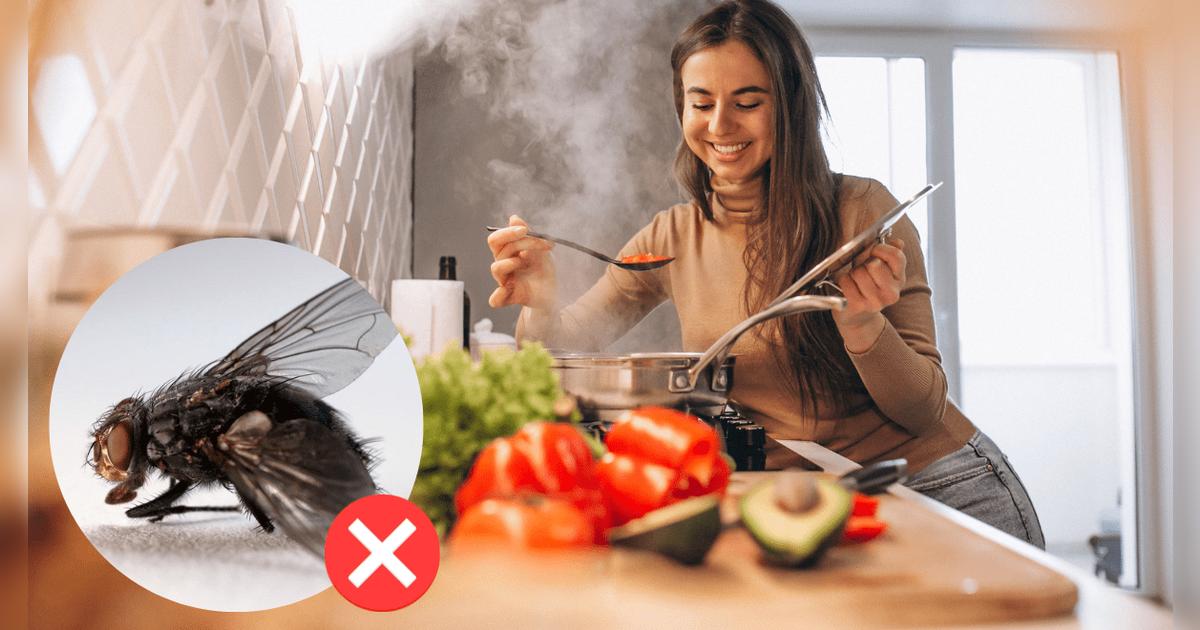 Trucos infalibles para alejar a las moscas de tu hogar de manera definitiva