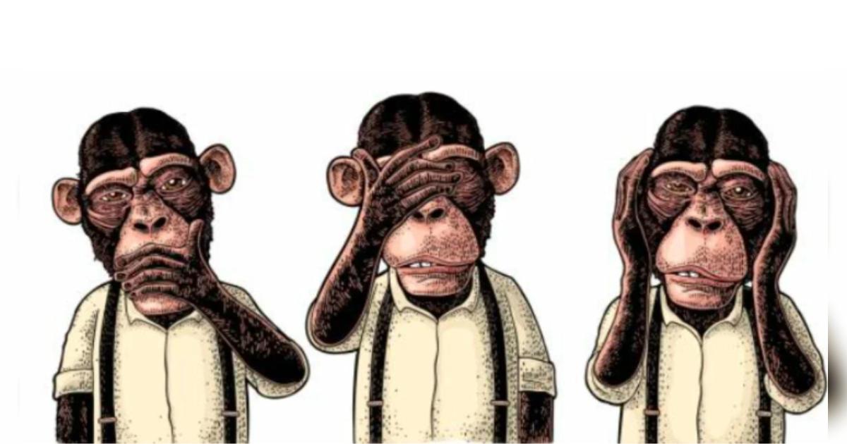 ¿Cómo eres con tus amigos? Escoge el mono con el que te identifiques y ...