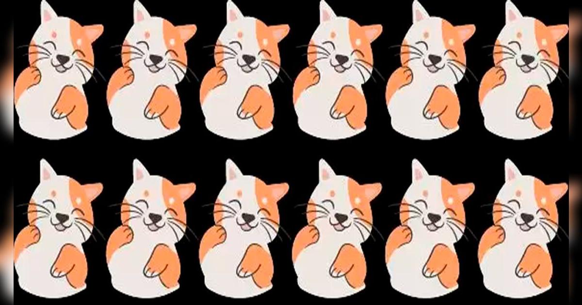 ¿Detectarás el gato diferente en segundos? Analiza esta PRUEBA EXTREMA ...