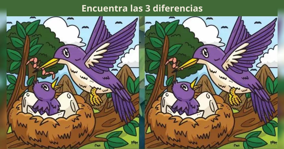 Encuentra las 3 diferencias y comprueba cuál es tu nivel de AGUDEZA VISUAL