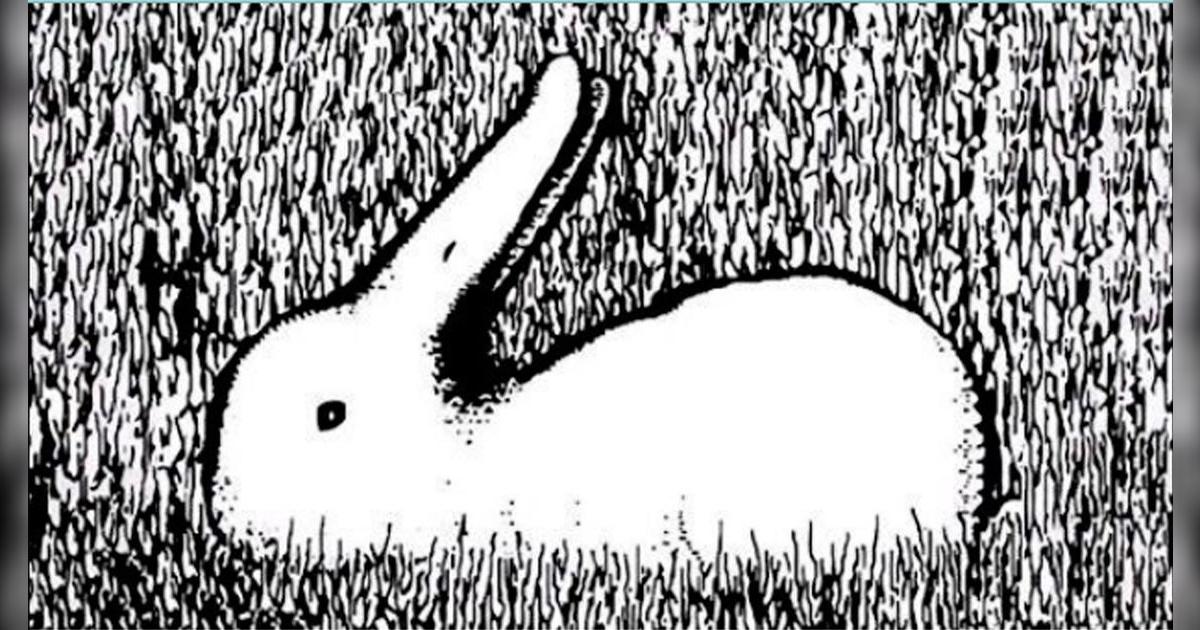 ¿Qué animal viste primero? Tu respuesta revelará si eres una persona ...